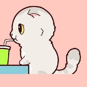 小老虎Tiger 