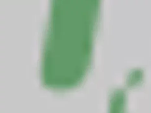 PS大师之路基础视频教程0902 仿制图章图案图章
