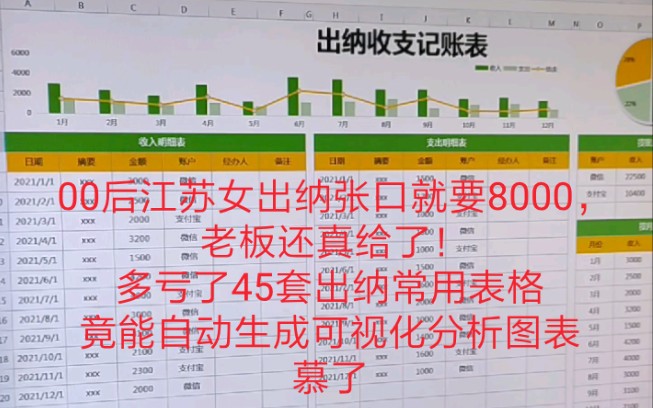 ...老板还真给了!多亏了45套出纳常用表格竟能自动生成可视化分析图表...