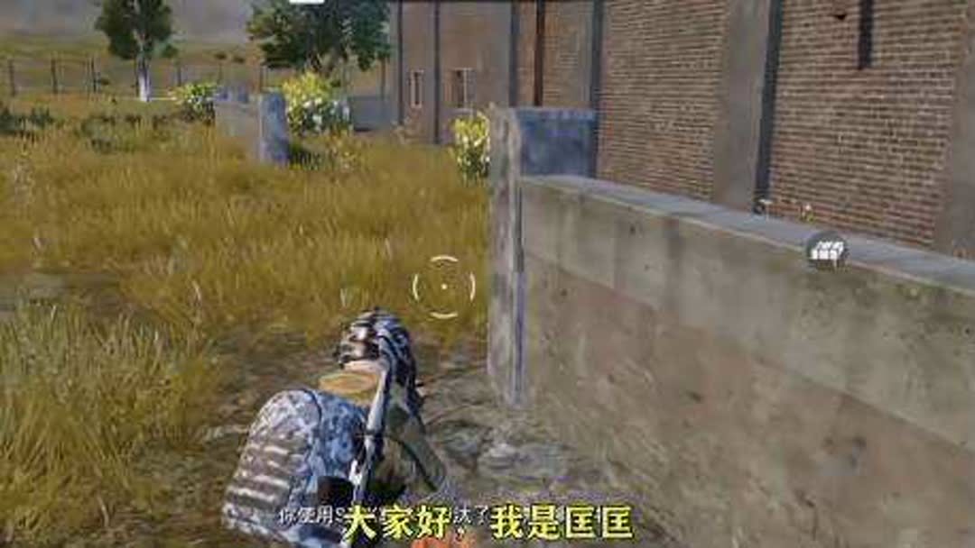 和平精英步枪排行榜,狗杂都不能算榜首?这把枪才是永远的神