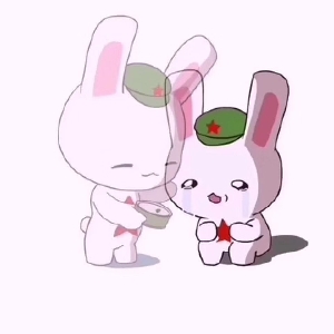 核桃待我有钱必定改名 