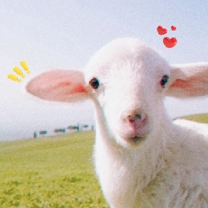 小咩家的飞天羊 