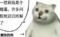 测试伤害的一天。原神。