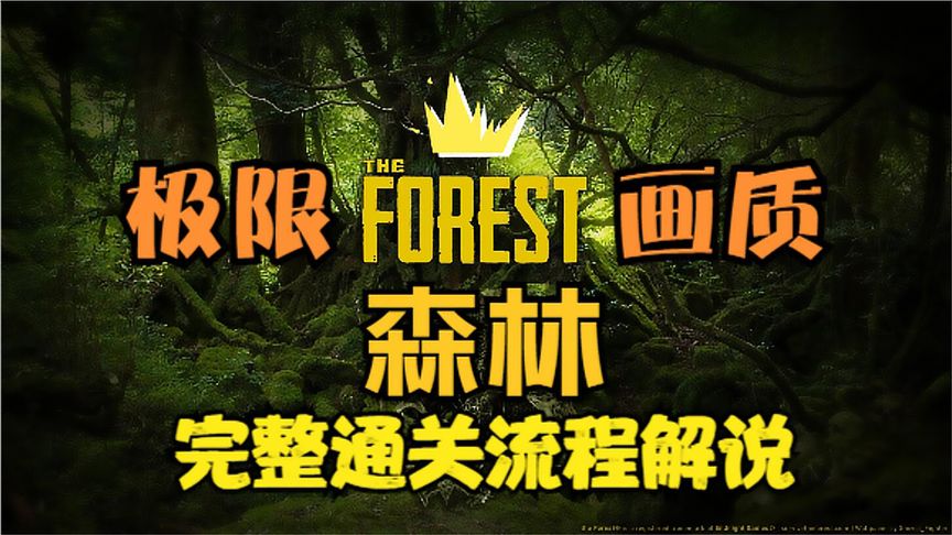 K 森林终章 通关流程攻略解说 被妹子带赢是一种什么样的体验?