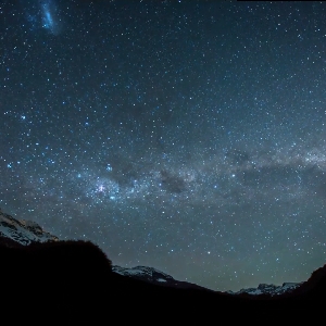 一直向前奔跑的小猪 