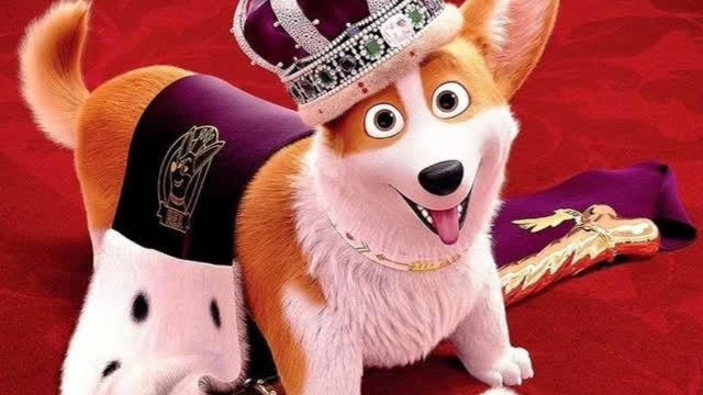 狗狗们为了争宠,在白金汉宫“宫斗”动画电影《女王的柯基》