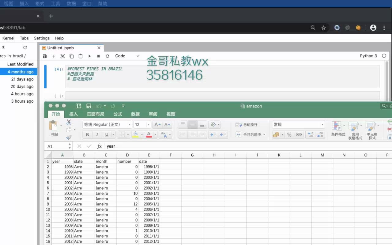 金哥数据分析实战案例-巴西火灾数据分析python