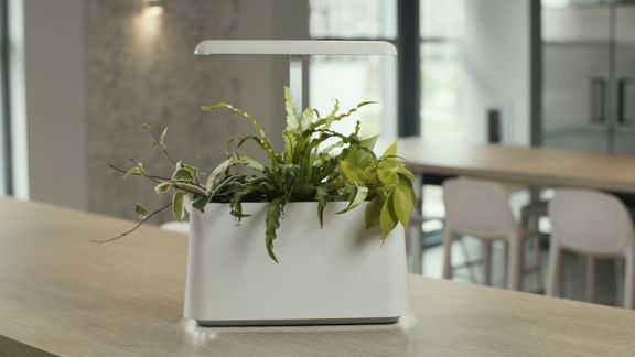 花盆装上涡轮增压器,竟能替代空气净化器,净化速度提升4倍!