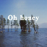 春光灿烂猪八戒666 