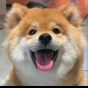 庄元帅 