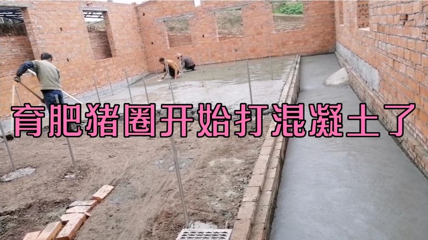猪圈开始打混凝土,为了保证牢固,钢管先预埋好