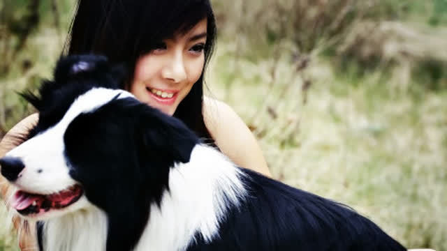 10大世界最强犬,甚至古代商人最喜欢的就是,把贵重的钱袋交给它!