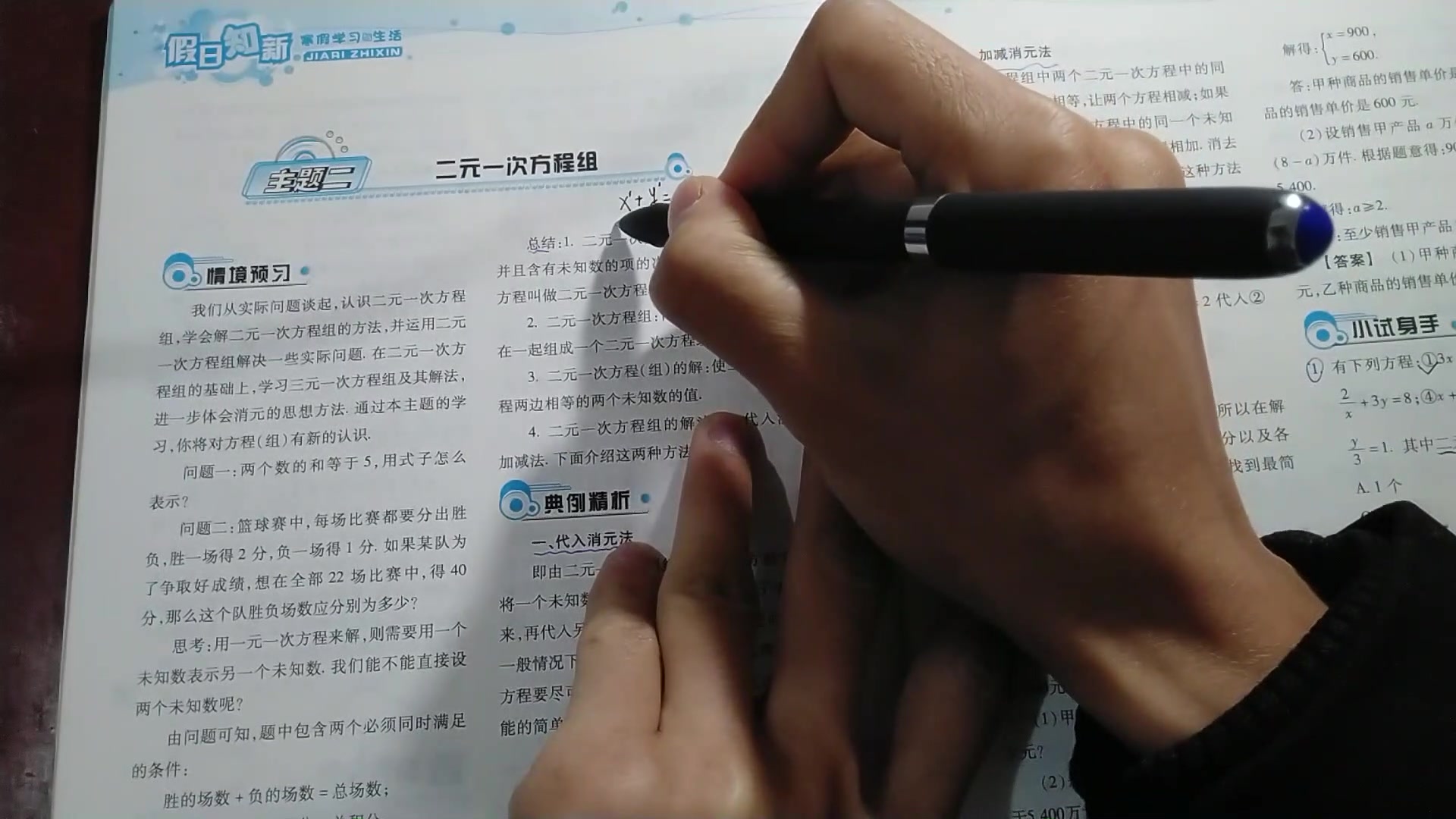 寒假作业二元一次方程组讲解