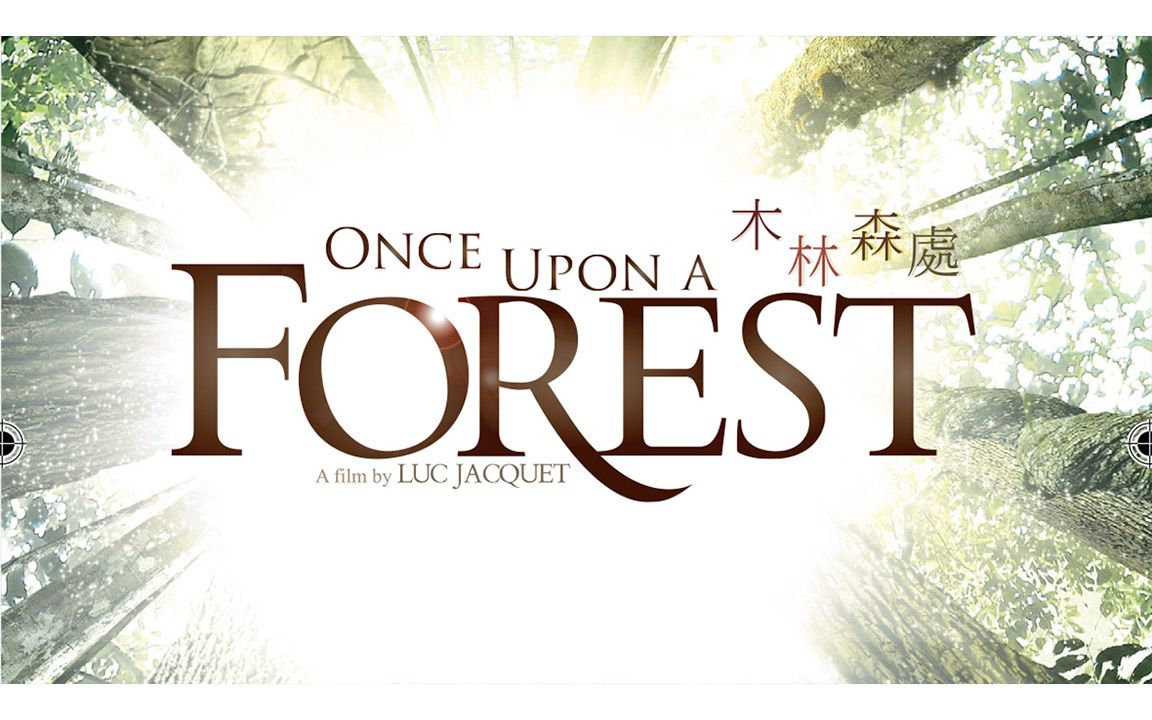 《木林森处》桌游教学 空中棋园