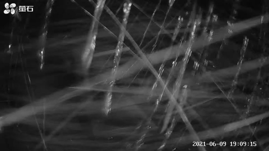 家里监控下的狂风暴雨,愿一切安好#惊魂一刻 #视觉震撼