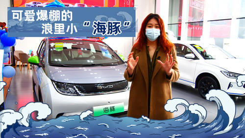 可爱爆棚 探店比亚迪海豚
