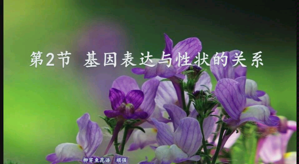 生物–基因表达与性状的关系(习题)