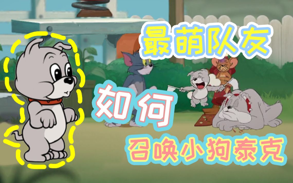 猫和老鼠手游:教你如何召唤小狗泰克,这一波操作我也刚学会!