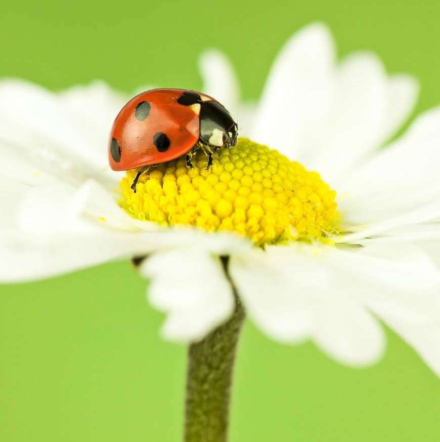 木易老师的语文课 