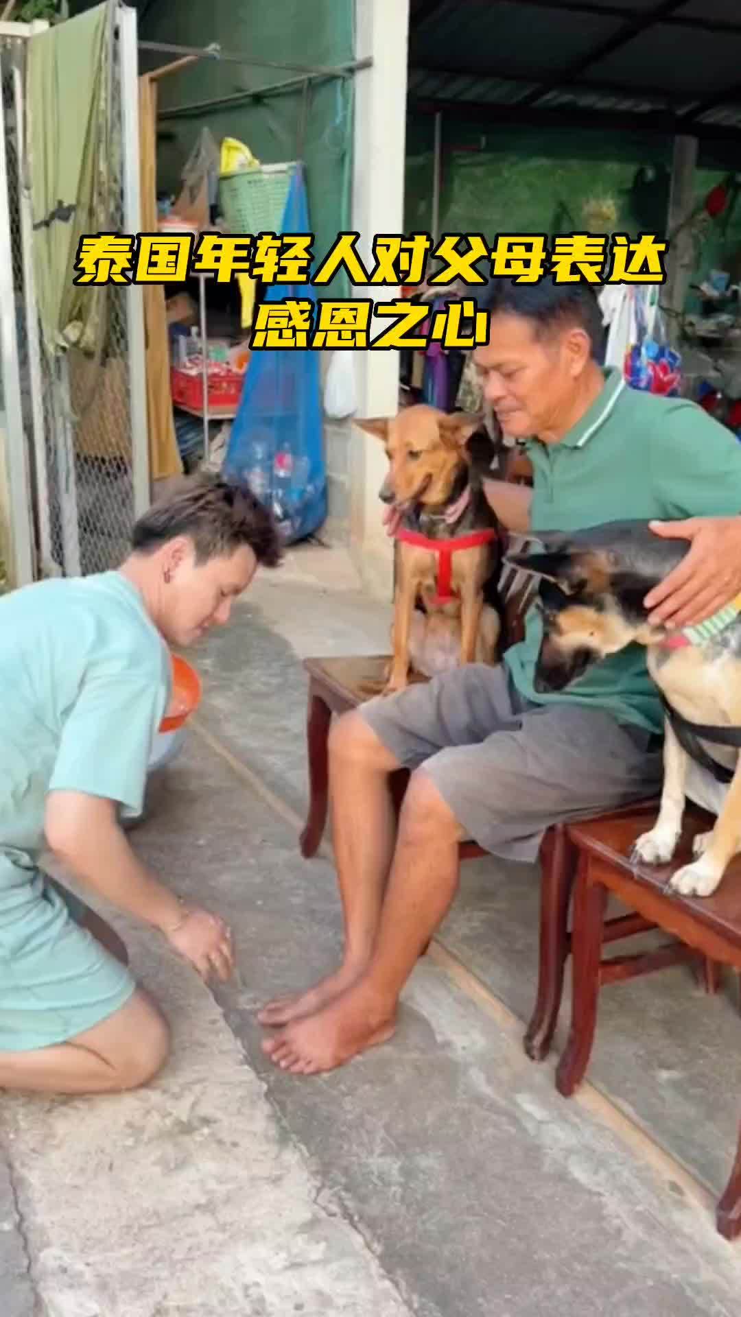 泰国的一些传统文化却传承的很好,值得我们学习,比如说泰国年轻人对...