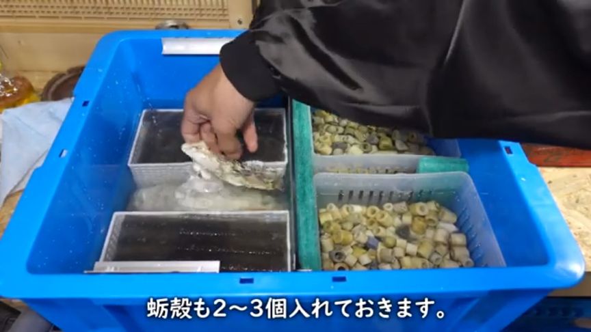 分享日本小哥鱼池过滤系统DIY制作过程