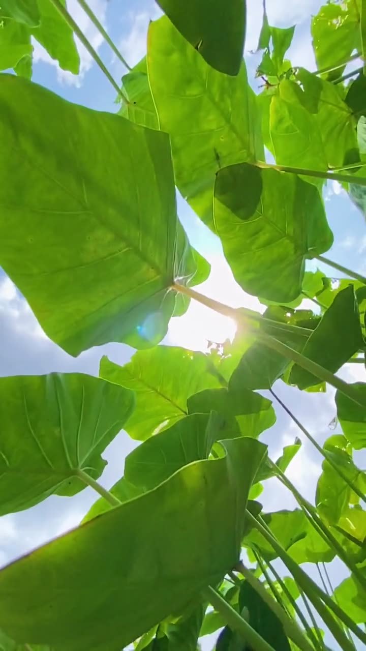 换一个视角,你会发现不一样的世界