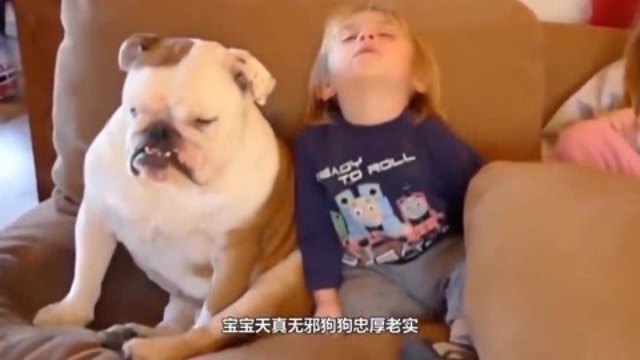 狗鼻子素来嗅觉灵敏,当宝宝对着狗狗放了个臭屁,整个狗都不好了