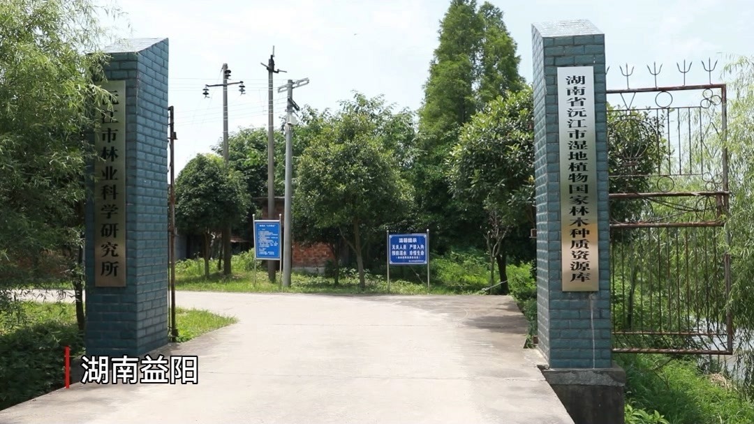 我国设立首家湿地植物国家林木种质资源库,落户湖南沅江