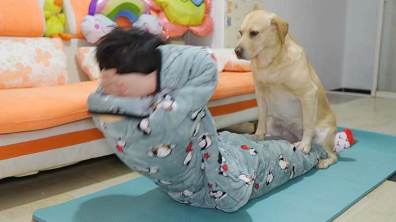狗狗听到防疫广播后吓坏了,请家里的学霸科普防肺炎小知识!