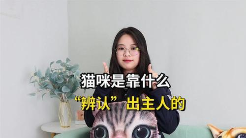 猫咪是靠什么"辨别"出主人的?