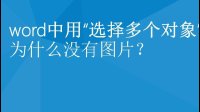 word中用“选择多个对象”为什么没有图片?