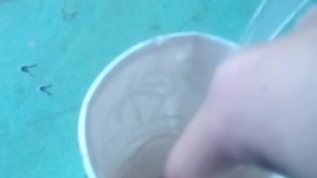 自制水晶泥(无小苏打,无隐形眼镜护理液,无胶水。)