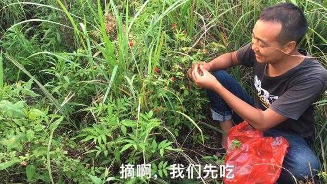 怀化有一种美食,叫三月泡或者帽子泡,你们吃过没?