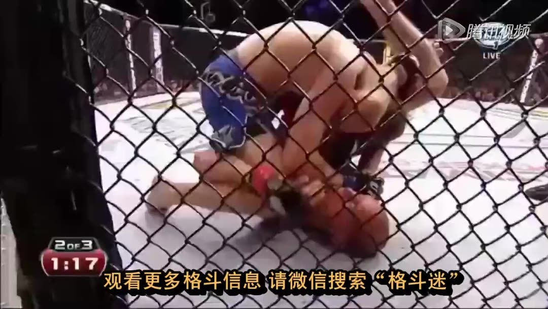 美国新格斗腿王太残暴 一招鲜绝技称霸铁笼