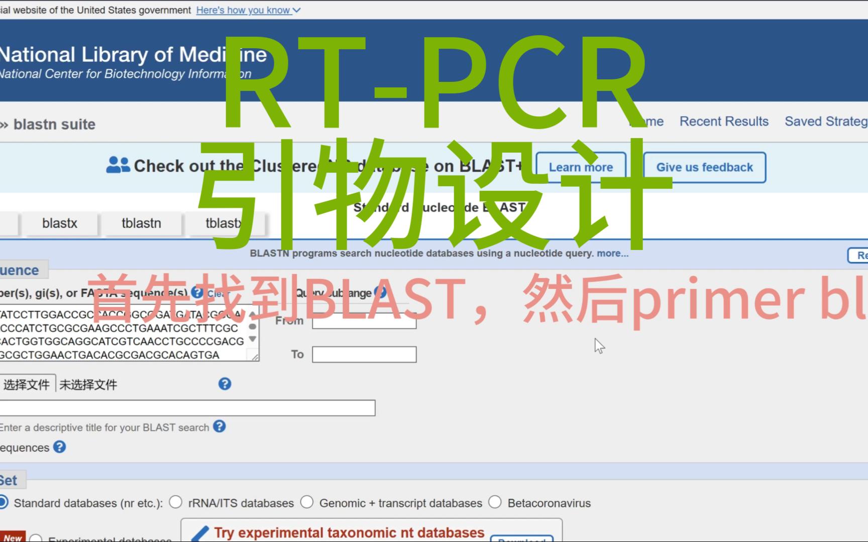 RT-PCR引物设计与评价