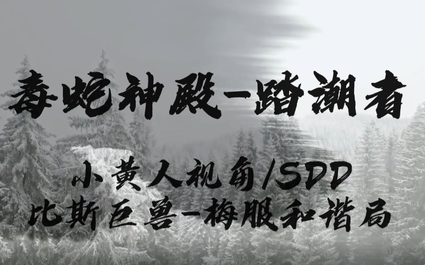 魔兽世界TBC怀旧服-燃烧的远征-毒蛇神殿-踏潮者-小黄人SDD