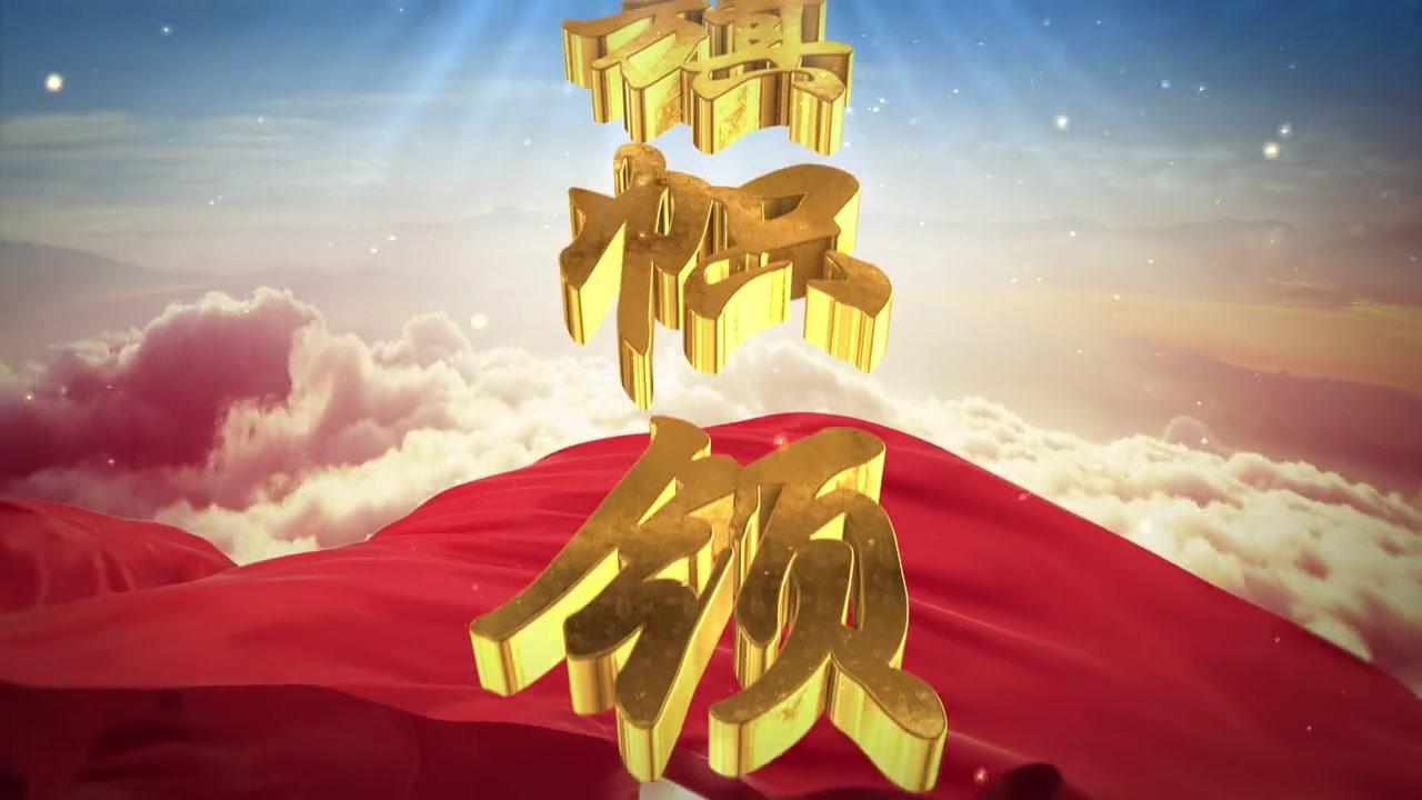 坚定不移贯彻总体国家安全观