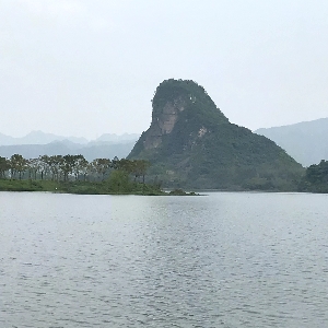 不只是茶 