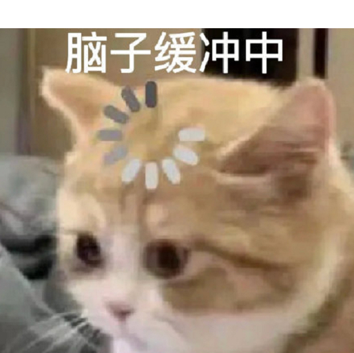 学AE的狗狗 