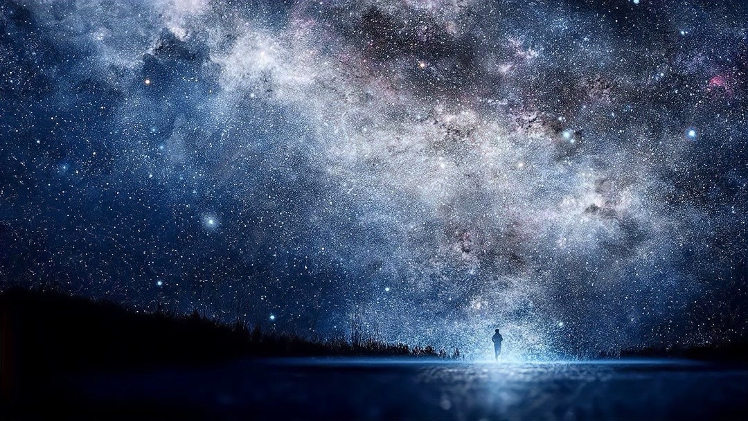 注册会计师(企业组织形式和财务管理内容)