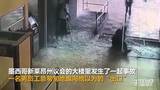 男子急匆匆奔向“出口”结果撞碎玻璃门