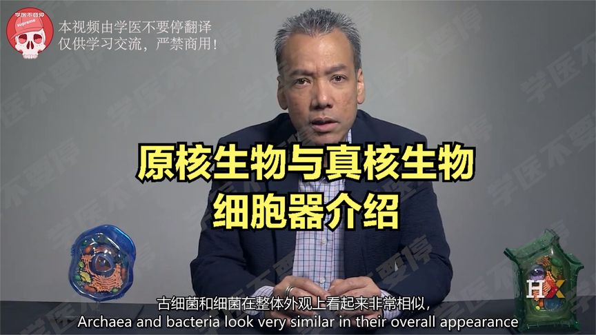 【哈佛大学】| 细胞生物学-1.5原核生物与真核生物,细胞器介绍