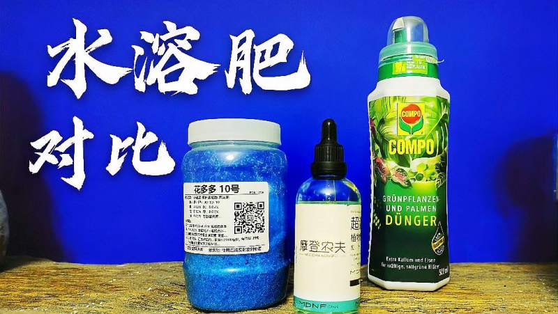 「植物养护」进口的肥料一定香吗?国产平替对比实验来啦～