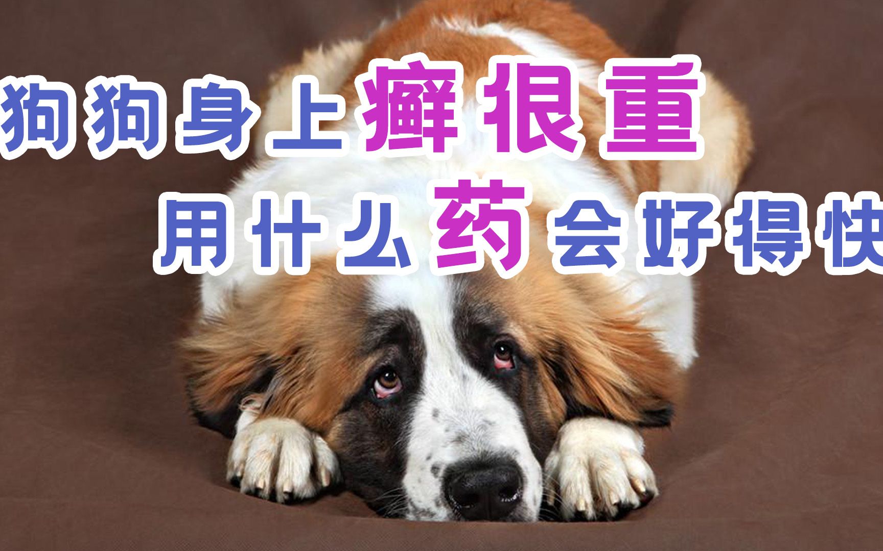 狗狗身上癣很重,用什么药会好得快