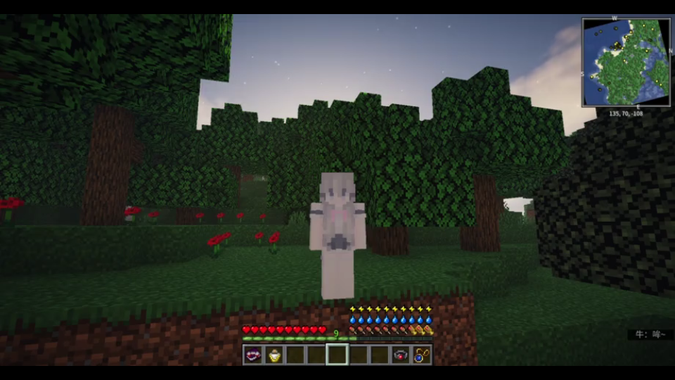 汤圆君的模组生存(第一集)