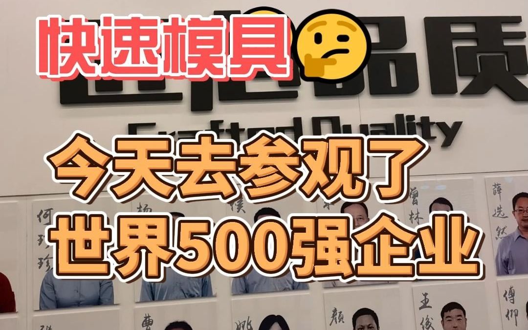 今天去参观了世界500强企业!#快速模具 #快速铝模 #快速模具厂 #简易...