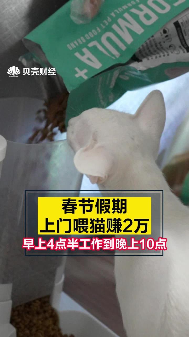 #春节假期上门喂猫赚2万 宠托师早上4点半工作到晚上10点。