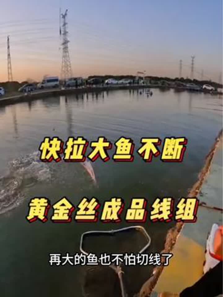 #钓鱼 #鱼线 #线组 #成品线组 #黄金丝线组