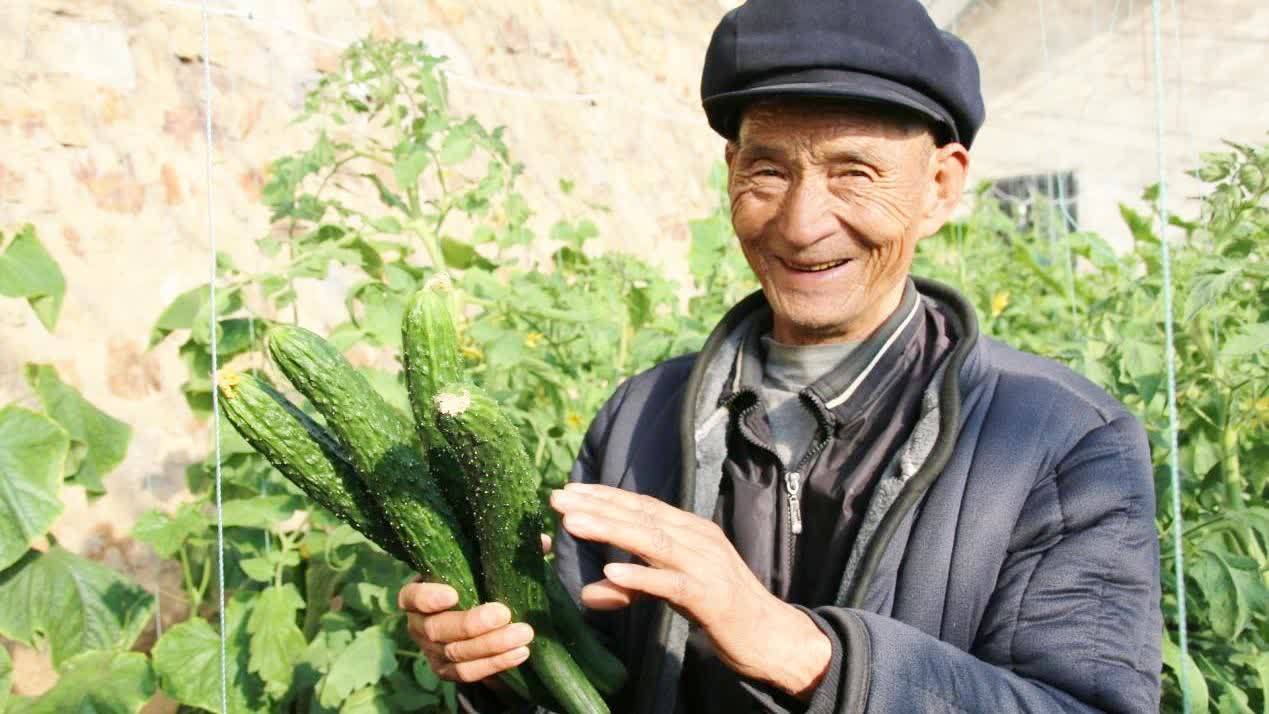 用了几十年的这种农药,防虫、防病,还能调节营养,太实用了
