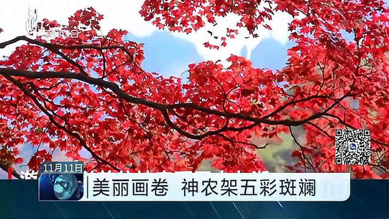 美丽画卷 神农架五彩斑斓